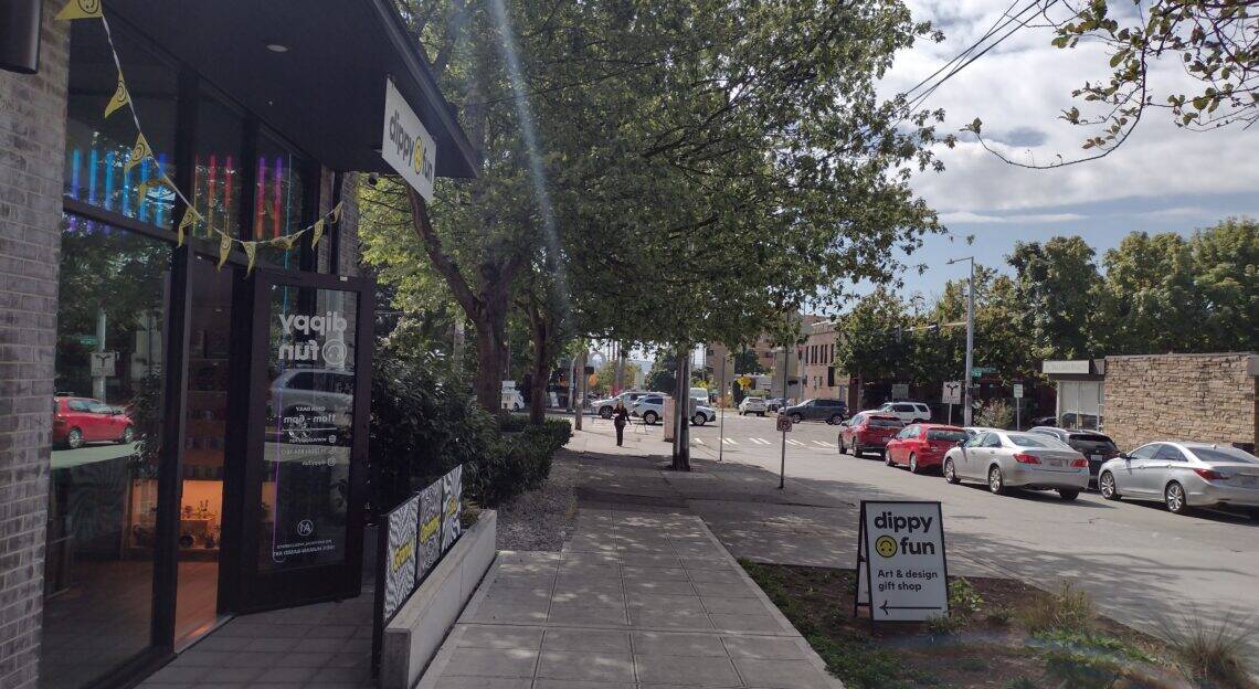 Dippy Fun art and design gift shop opens in Ballard - My Ballard
